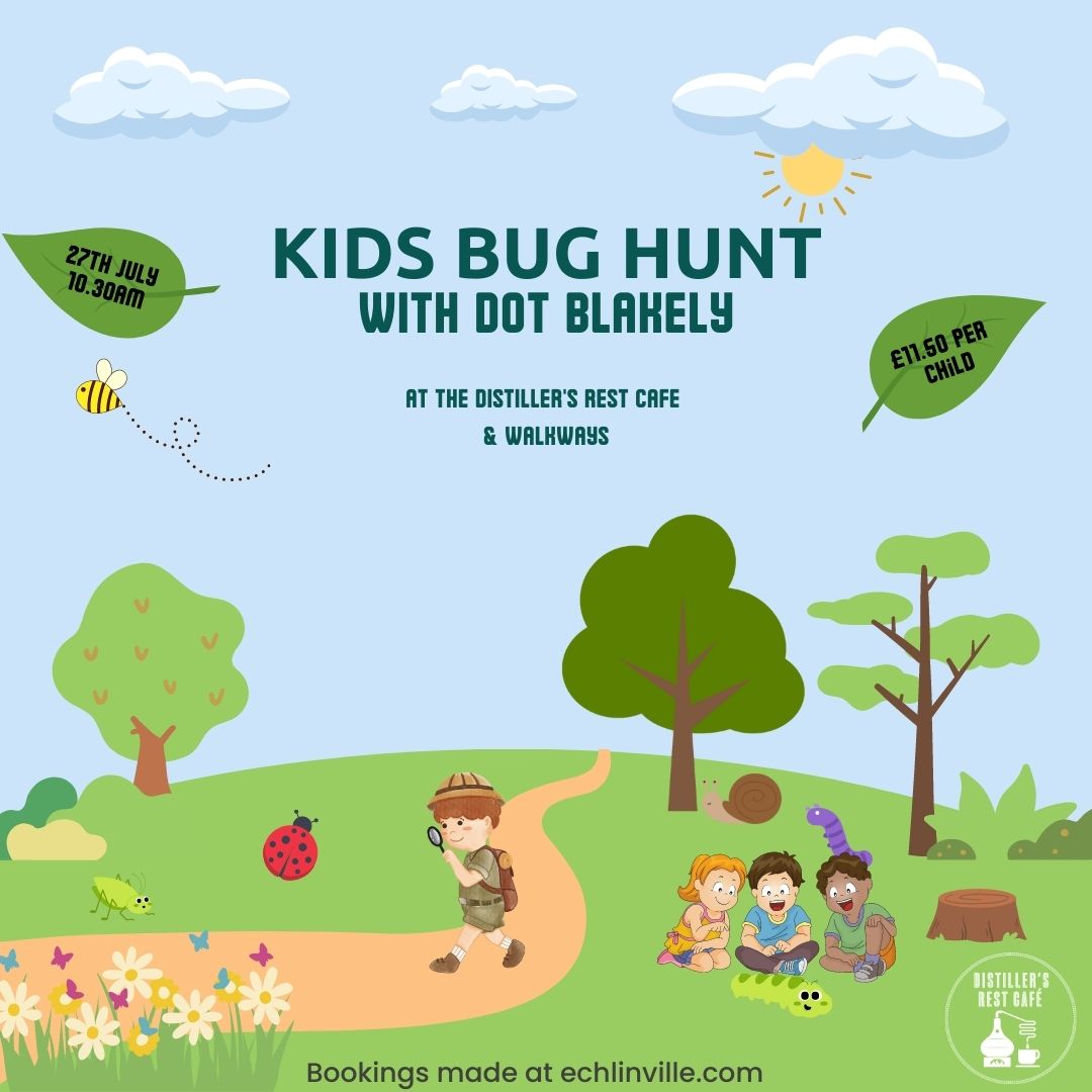 Events | Gin Evenings | Tours | Echlinville Distillery